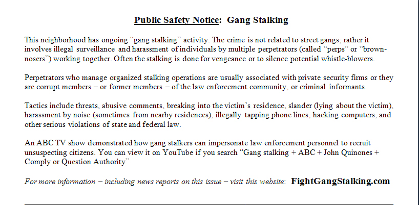 Small Leaflet | Fight "Gang Stalking"